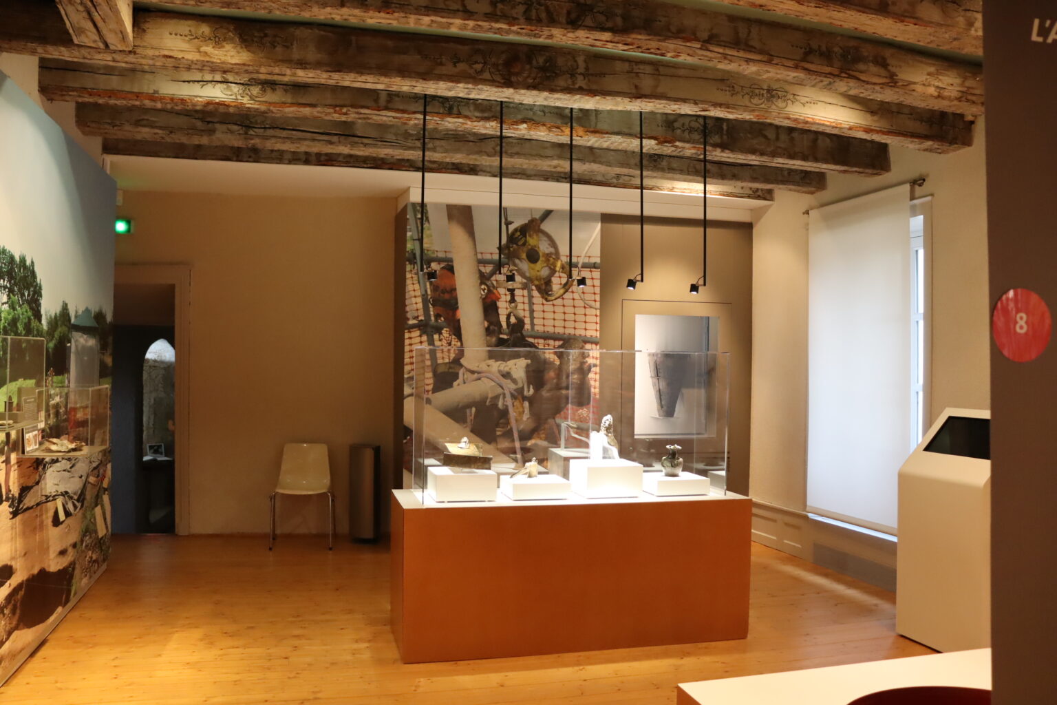 Projet scientifique et culturel - Musée Émile Chenon