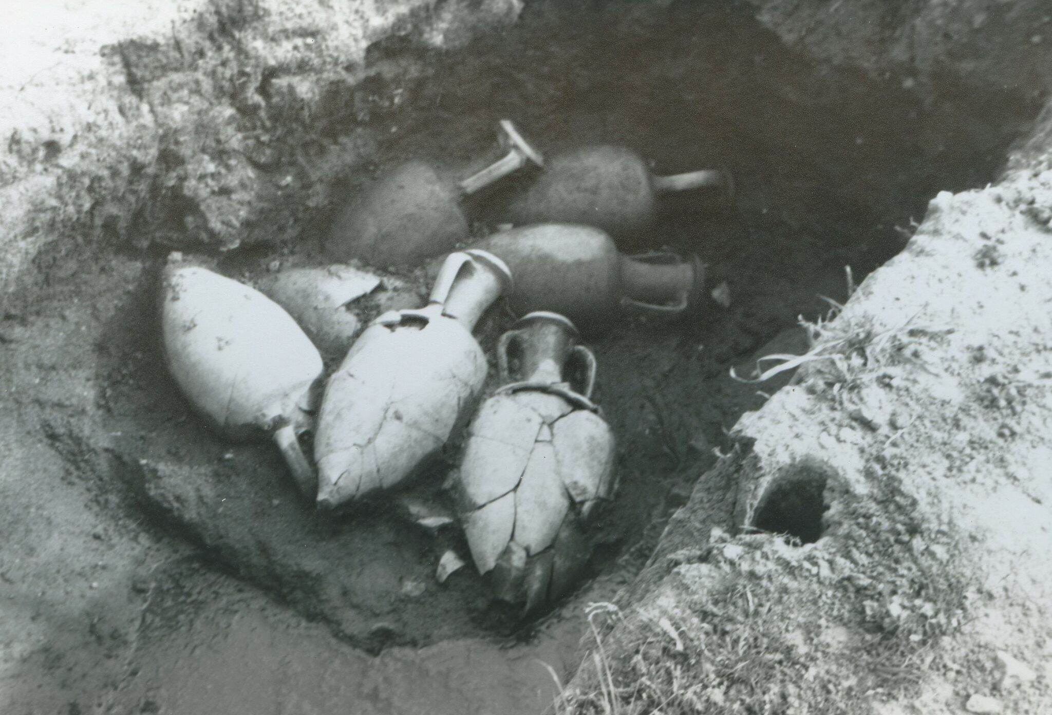 Les fouilles - Musée Émile Chenon